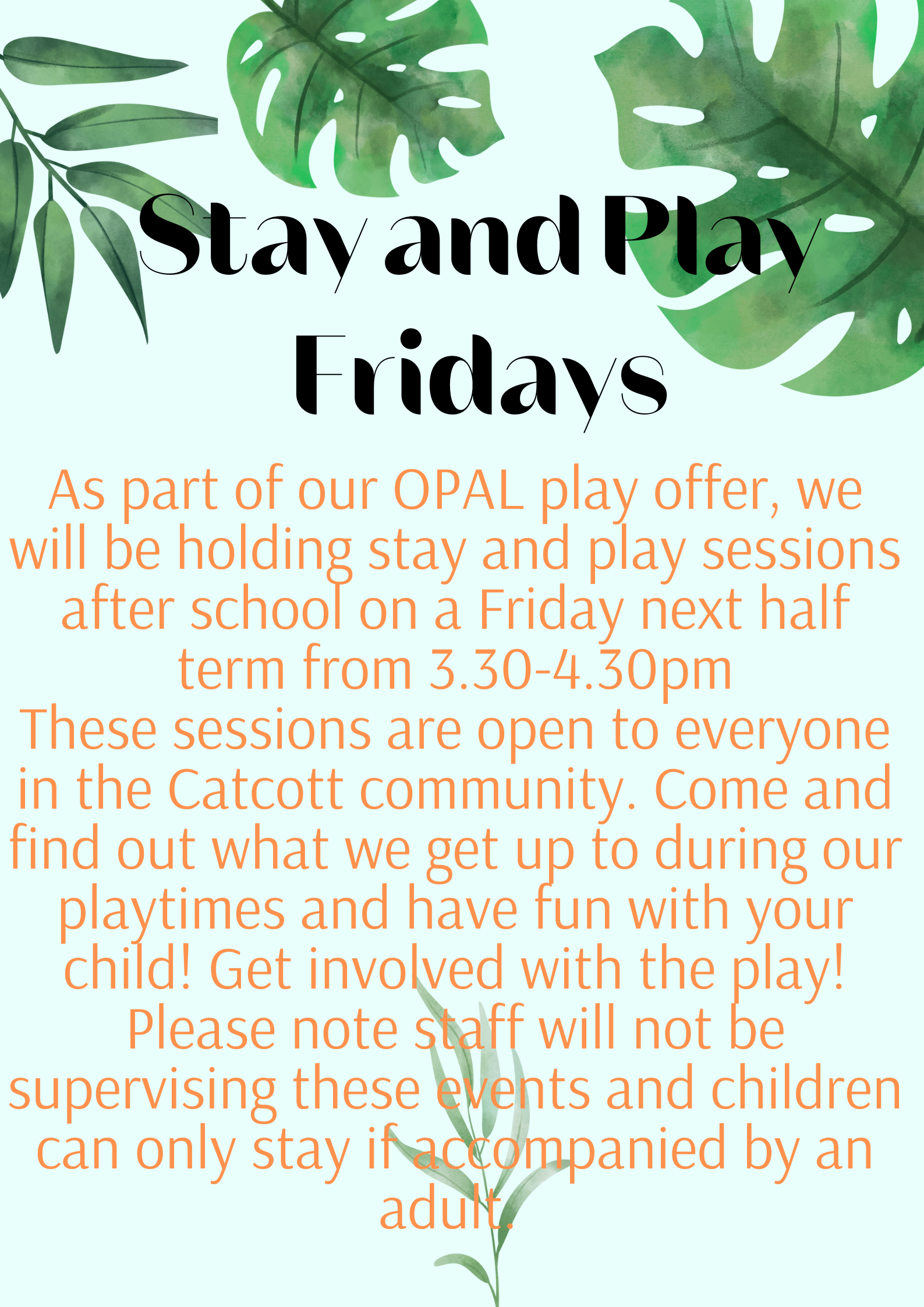 Catcott Primary School - OPAL